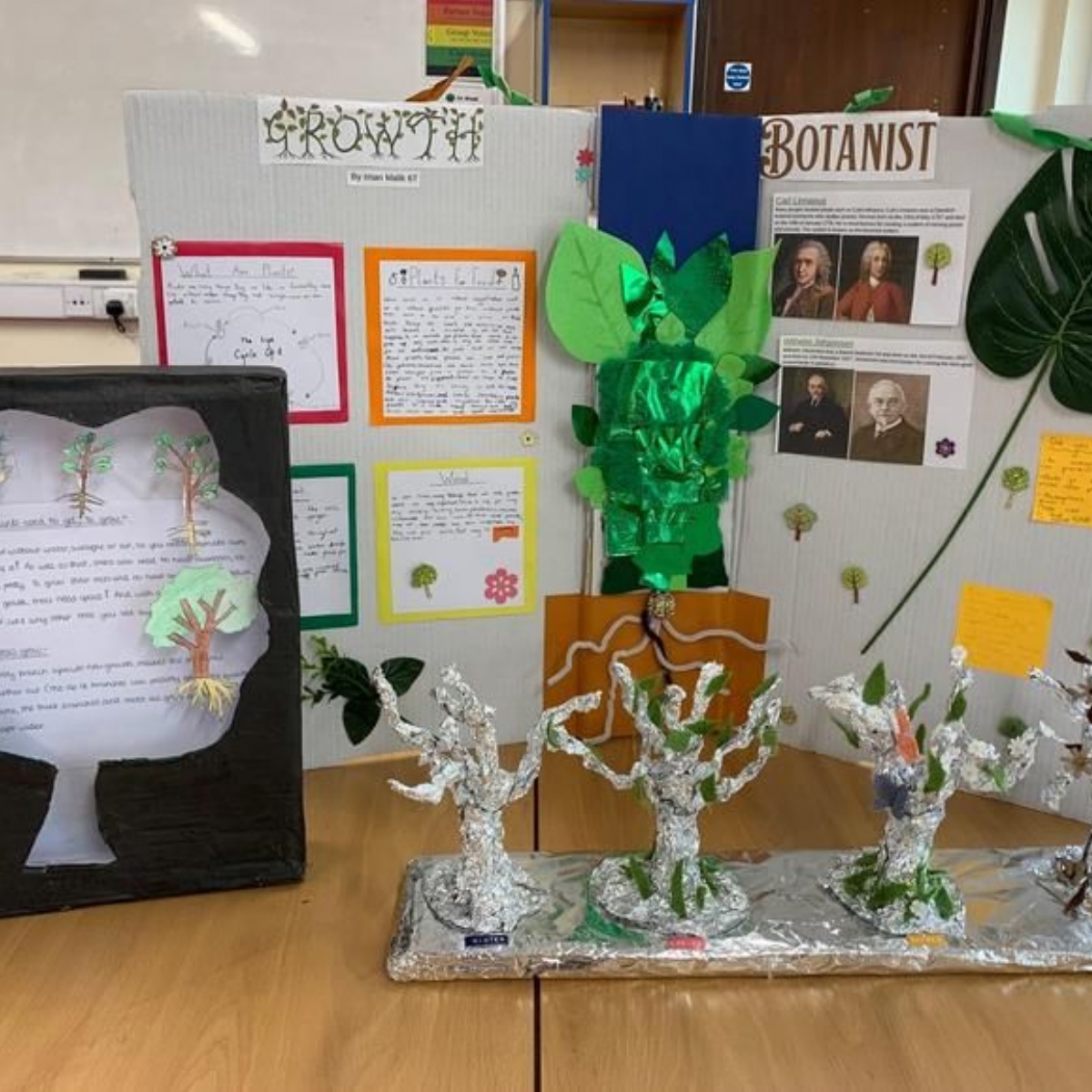 Whitehall Junior School - Science Week